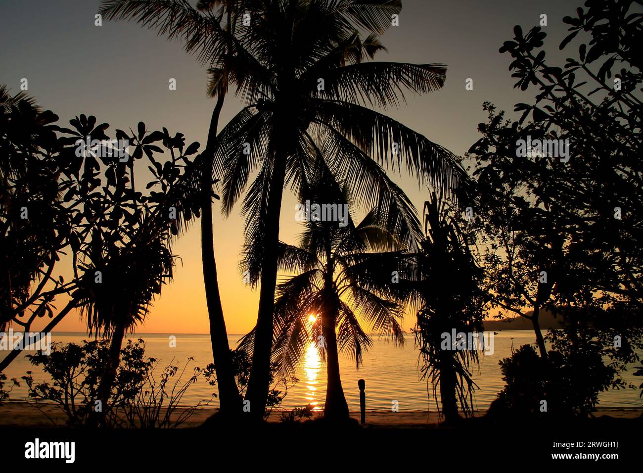 Tropical Island Sunset through the Palm Trees on the Beach Stock Photo ...
