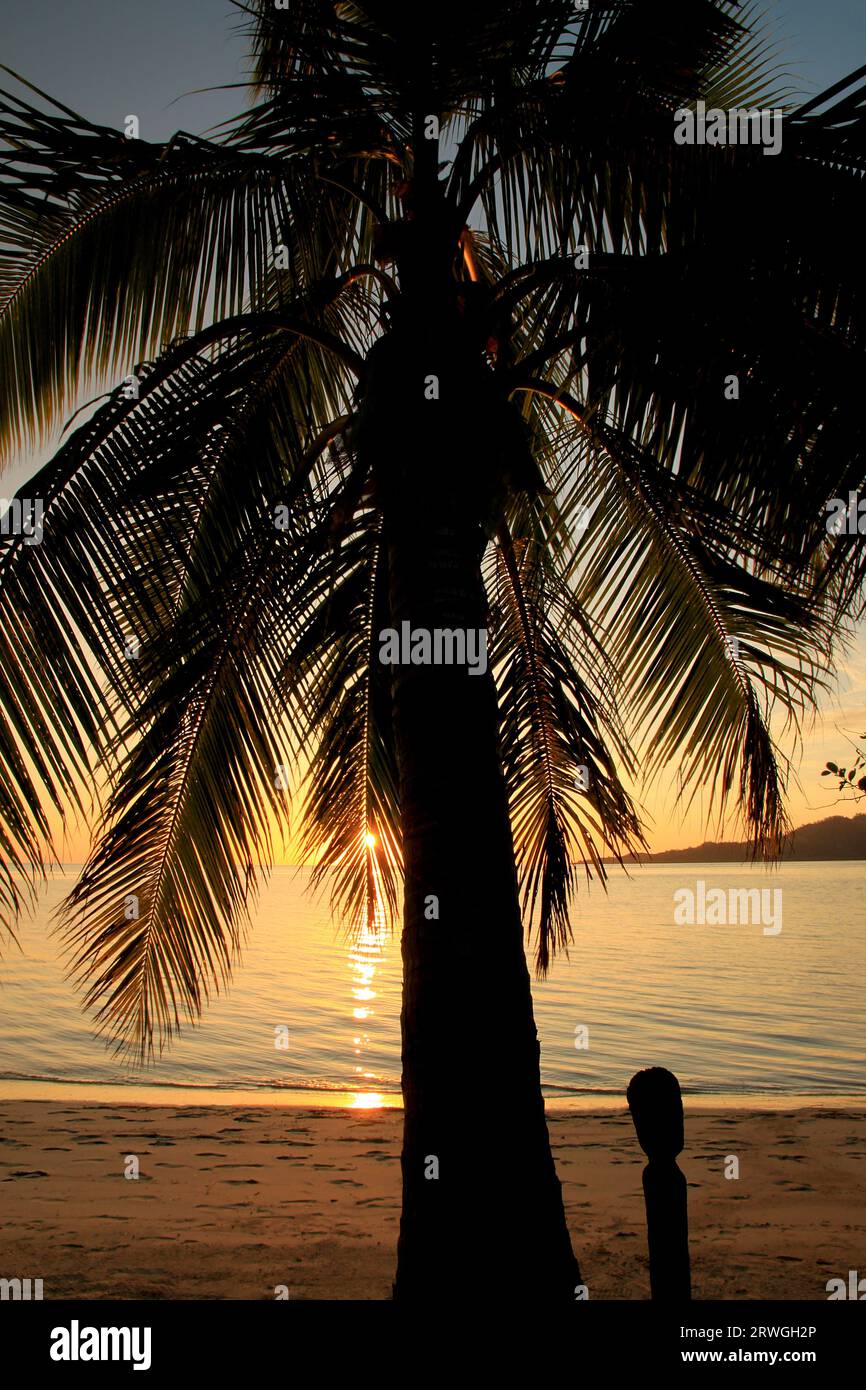 Tropical Island Sunset on the Beach through the Palm Tree Stock Photo ...