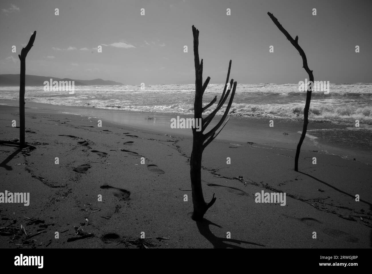 Alberese beach hi-res stock photography and images - Alamy