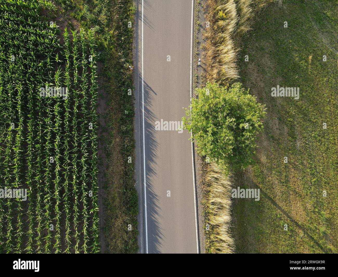 Aerial view corn field asphalt hi-res stock photography and images - Alamy