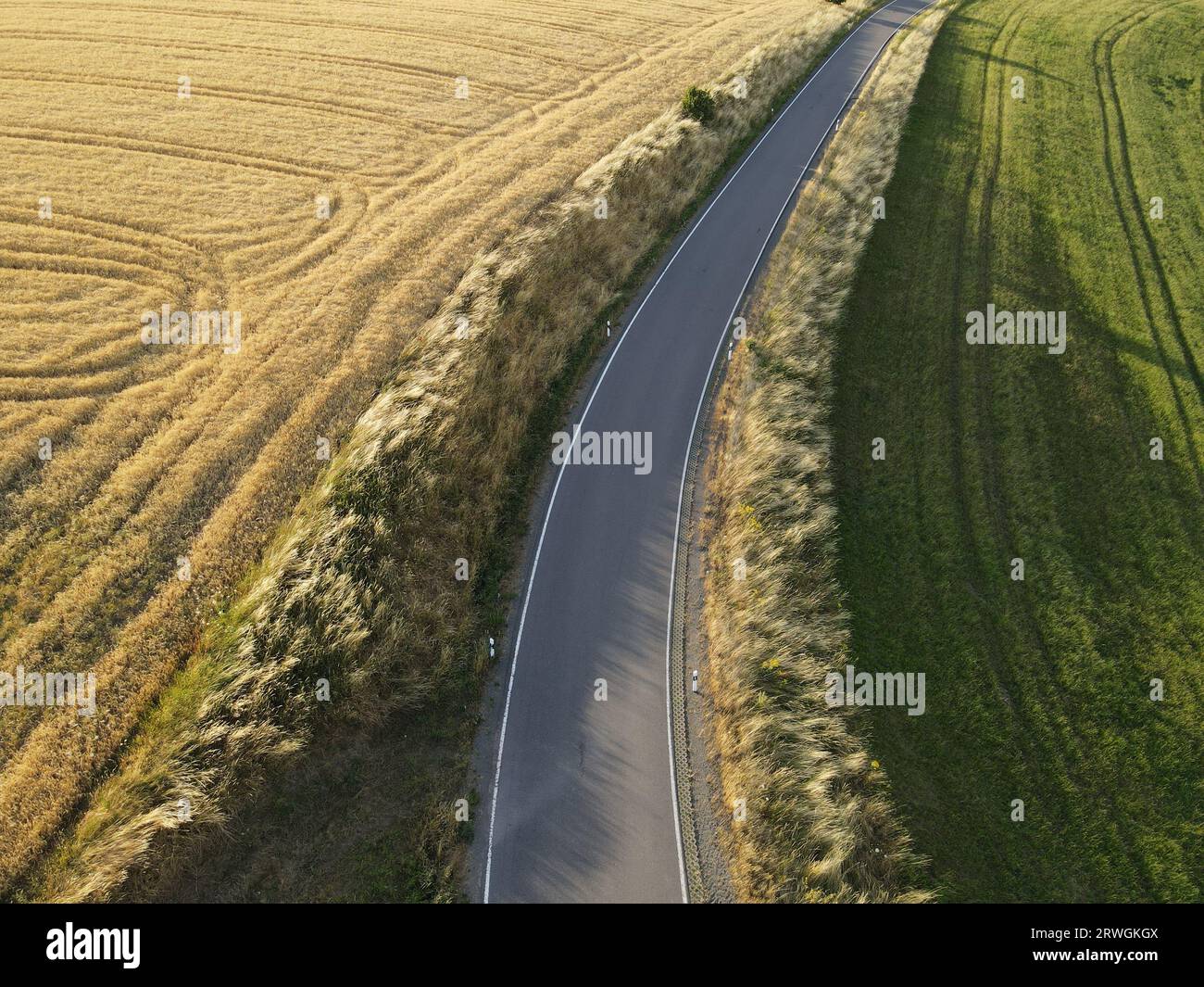Straight view from above golden hi-res stock photography and images - Alamy