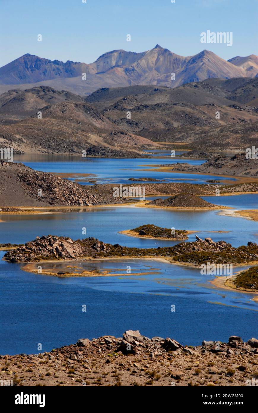 Cotacotani Lagoons , Lauca national park, ChileChile Stock Photo - Alamy