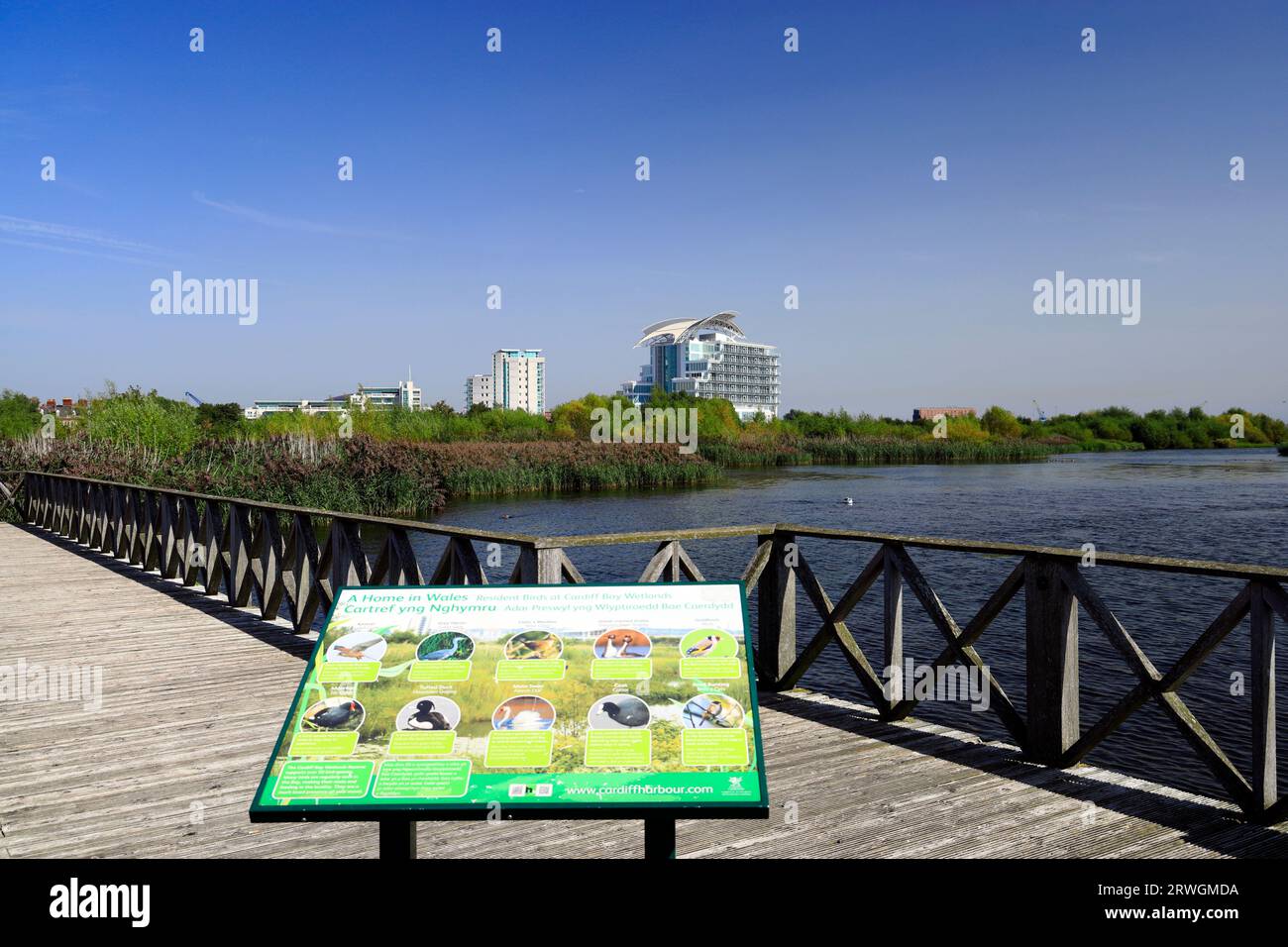 Notice board, wetlands nature reserve, Cardiff Bay, Cardiff, Wales ...