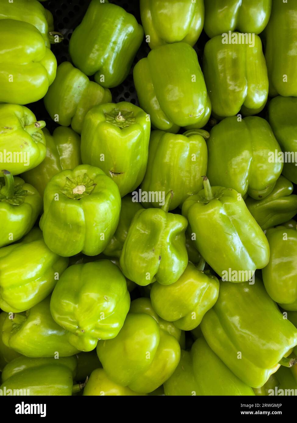 Green Capsicum is a genus of flowering plants in the nightshade family ...