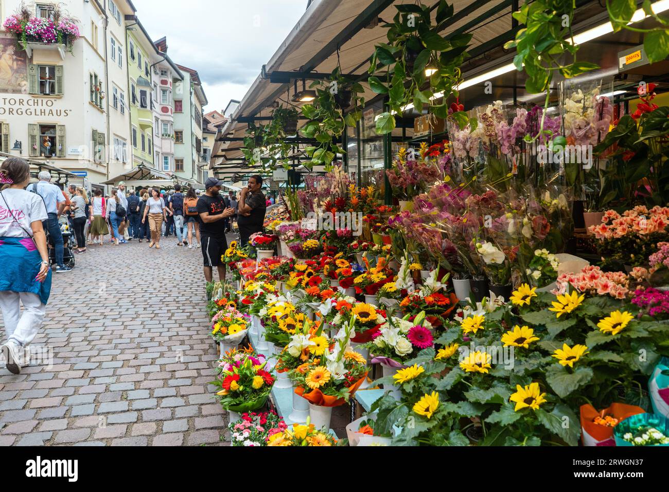 Bozen flower market hi-res stock photography and images - Alamy