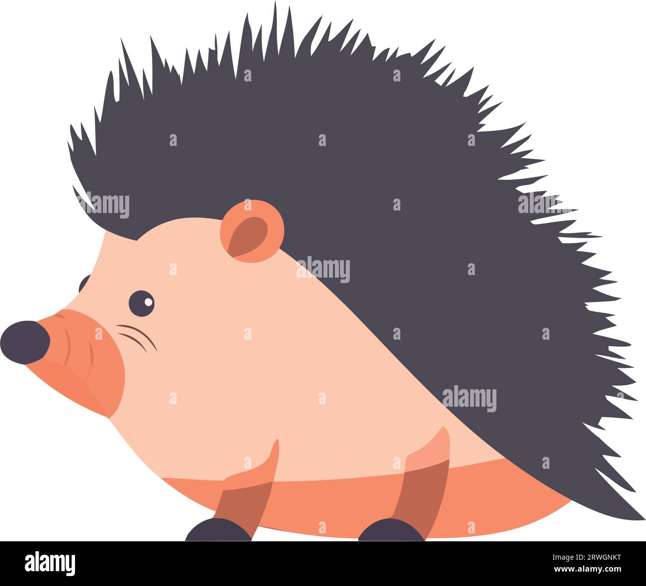 Cute hedgehog design Stock Vector Image & Art - Alamy