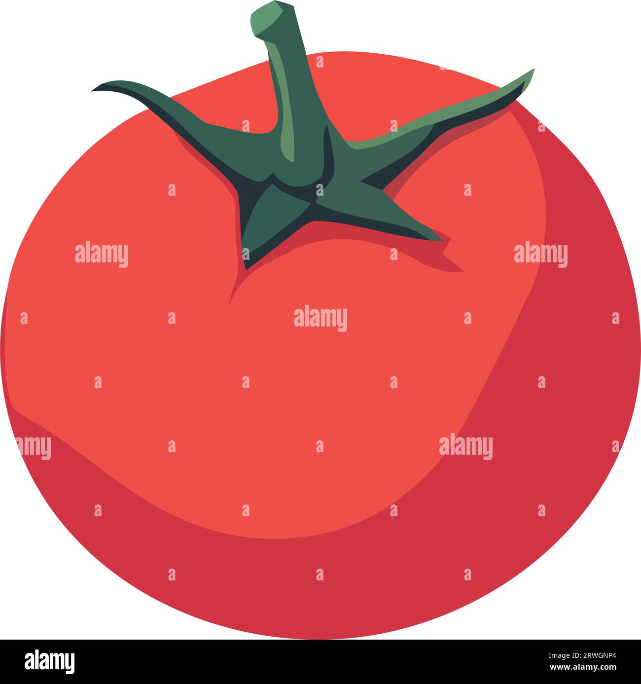 Fresh tomato vector Stock Vector Image & Art - Alamy
