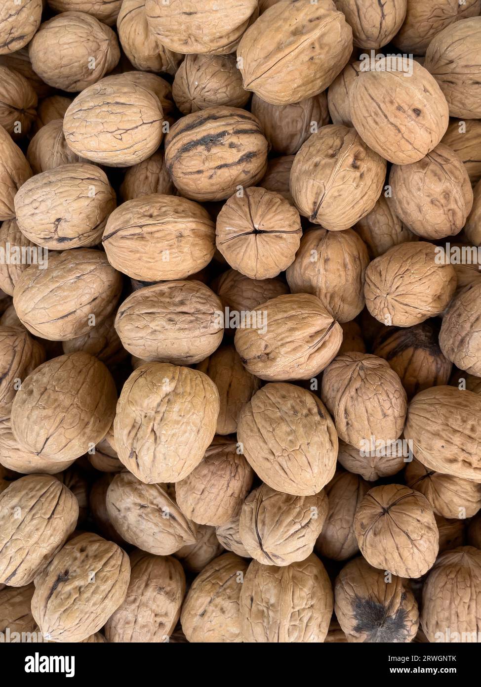 Natural walnut background pattern texture Abstract walnuts heap pattern ...