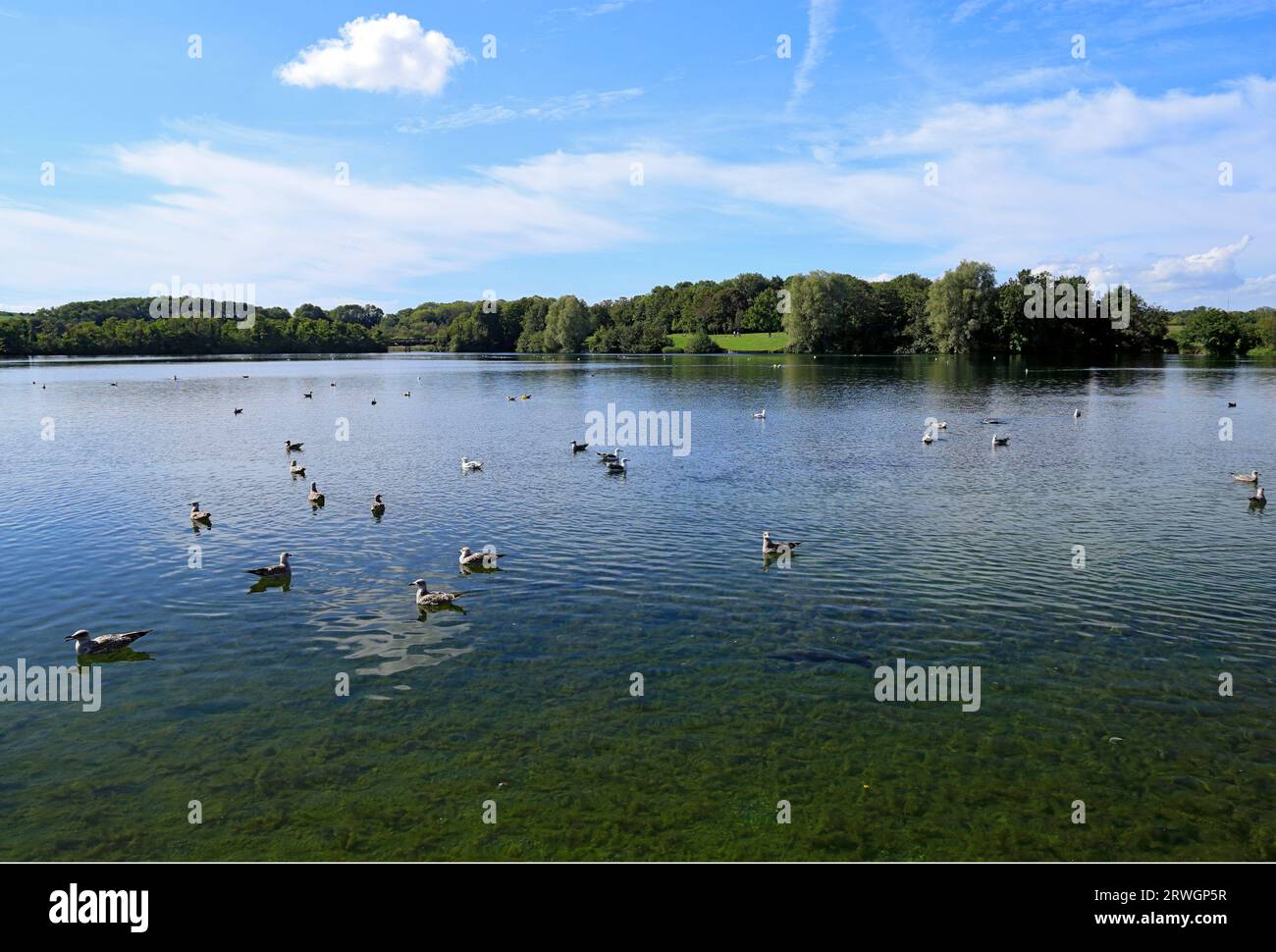 Wales glamorgan penarth cosmeston country hi-res stock photography and ...