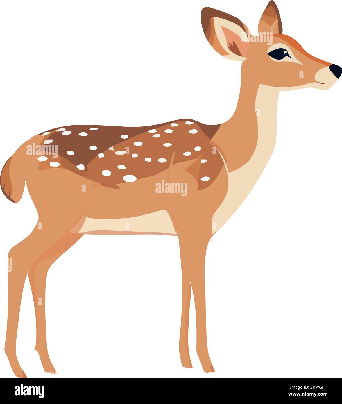 Adorable deer design Stock Vector Image & Art - Alamy