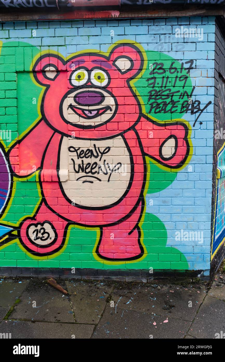Street art or graffiti art on a wall in the Sandyford area of Newcastle ...