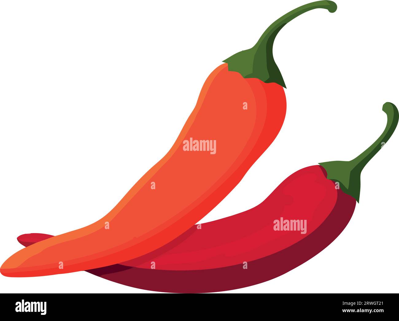 red chili pepper vector Stock Vector Image & Art - Alamy