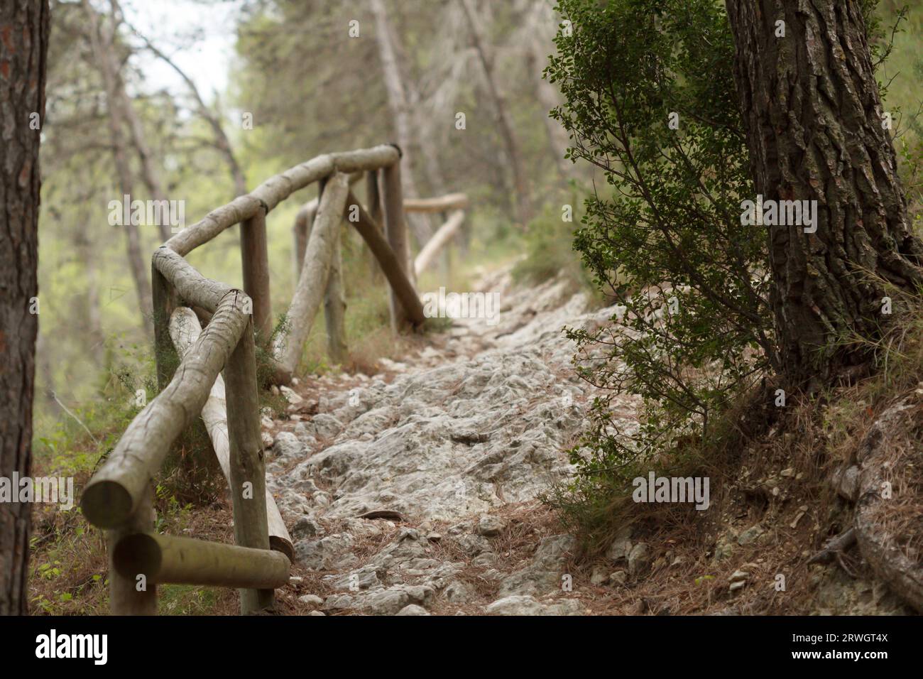 Path with wooden railing in the Preventorium of Alcoi, Spain Stock ...