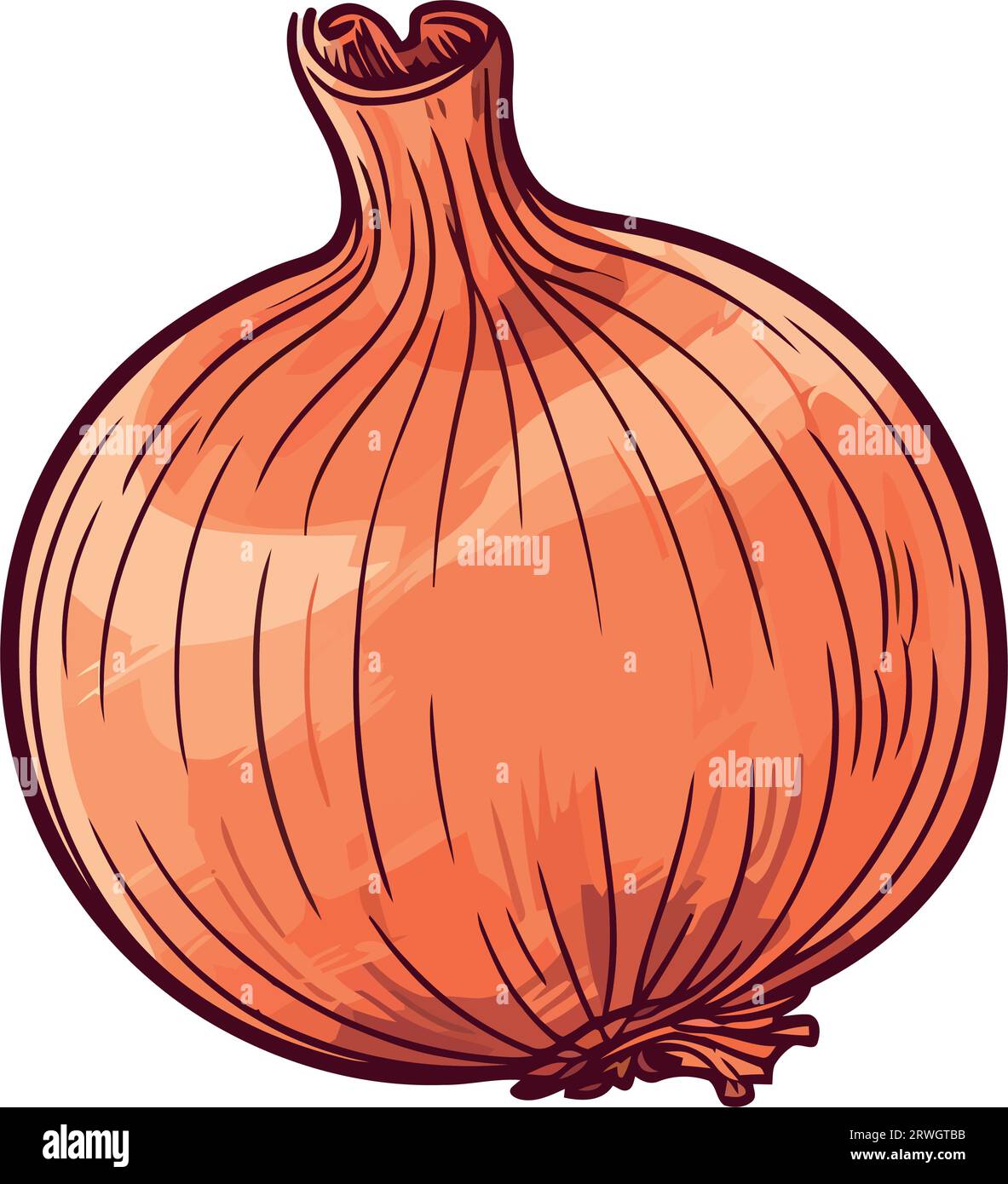 Fresh organic onion design Stock Vector Image & Art - Alamy