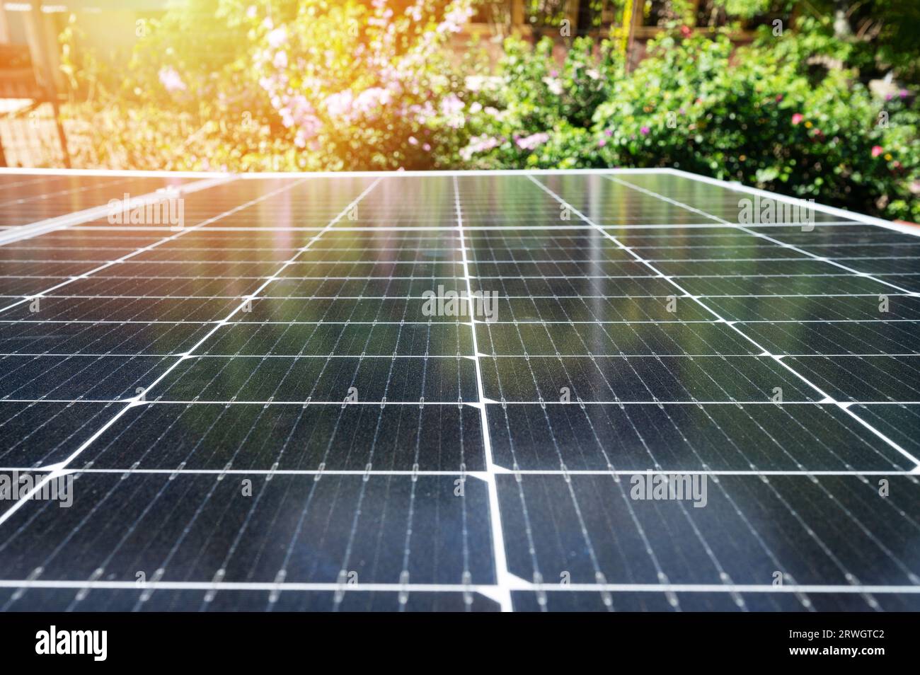 Solar panel on green flower background with sun reflection Stock Photo ...
