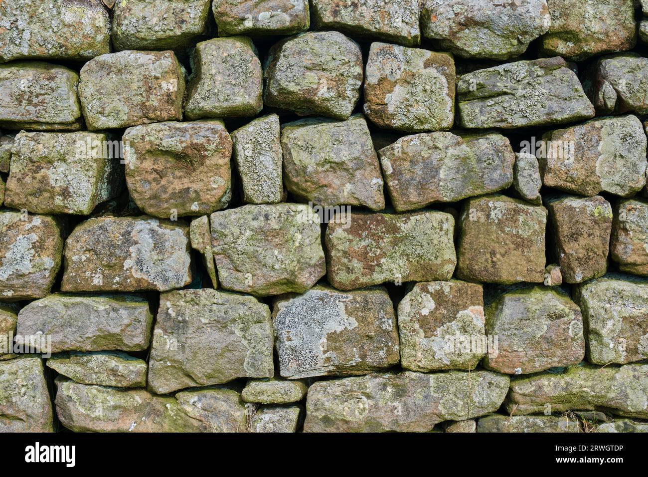 Hadrian's Wall, Hotbank, Bardon Mill, Northumberland Stock Photo - Alamy