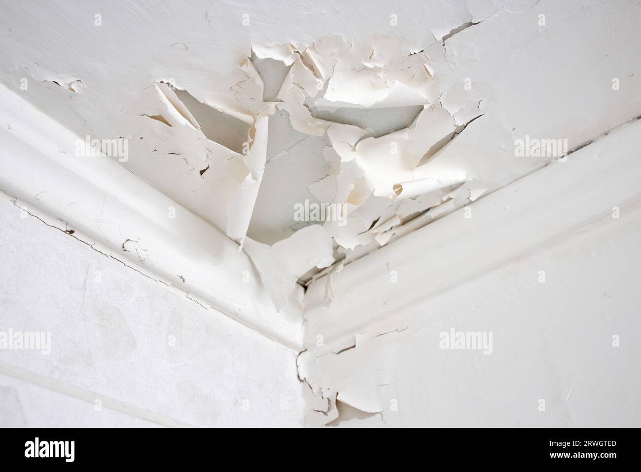 Swelling leaking of whitewash and plaster on ceiling of dwelling due to ...