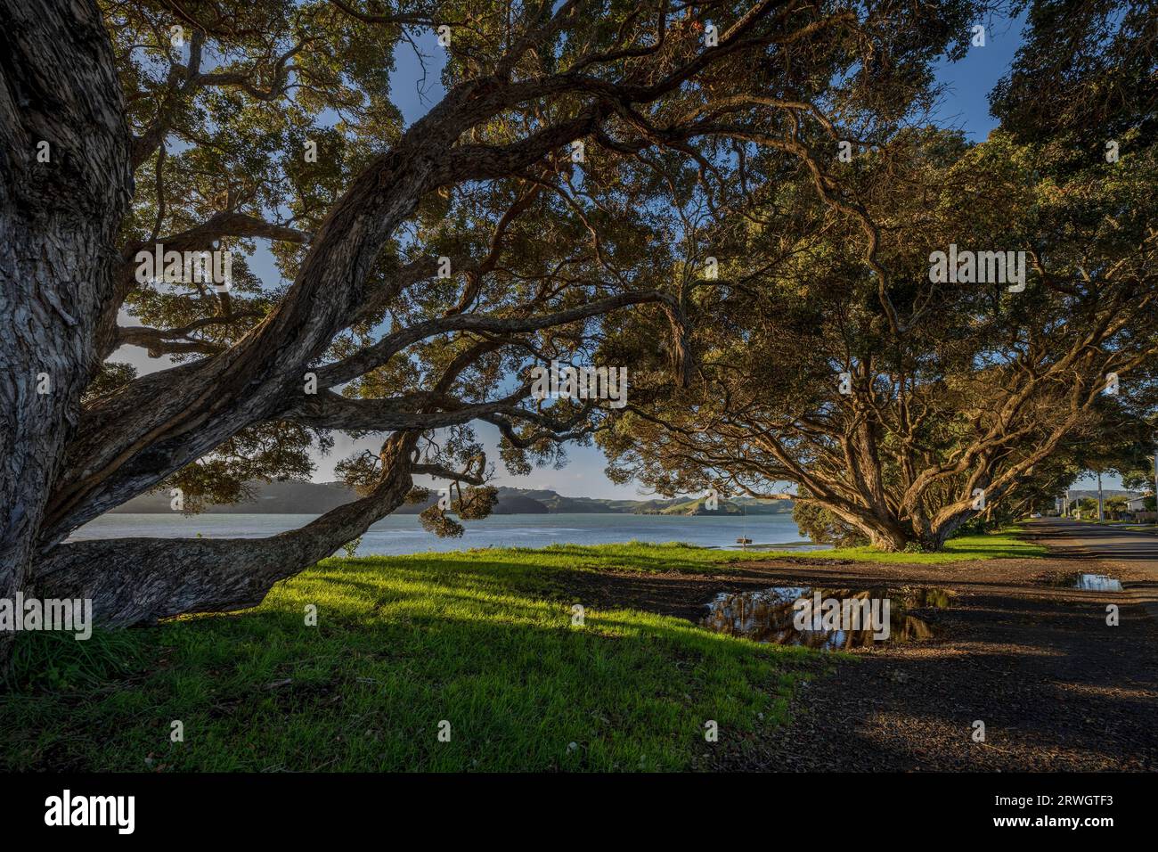 New Zealand, Whaihi Beach - Raglan Stock Photo - Alamy