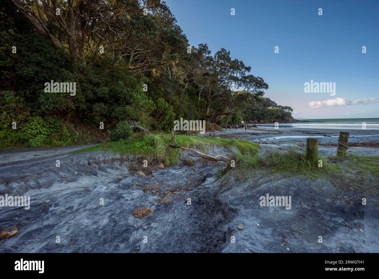 New Zealand, Whaihi Beach - Raglan Stock Photo - Alamy