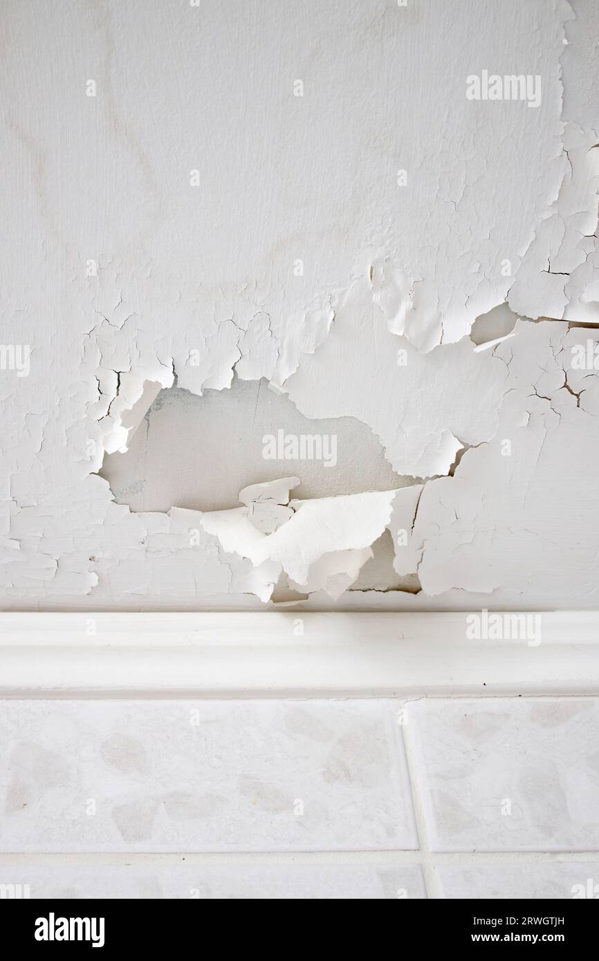 Swelling leaking of whitewash and plaster on ceiling of dwelling due to ...