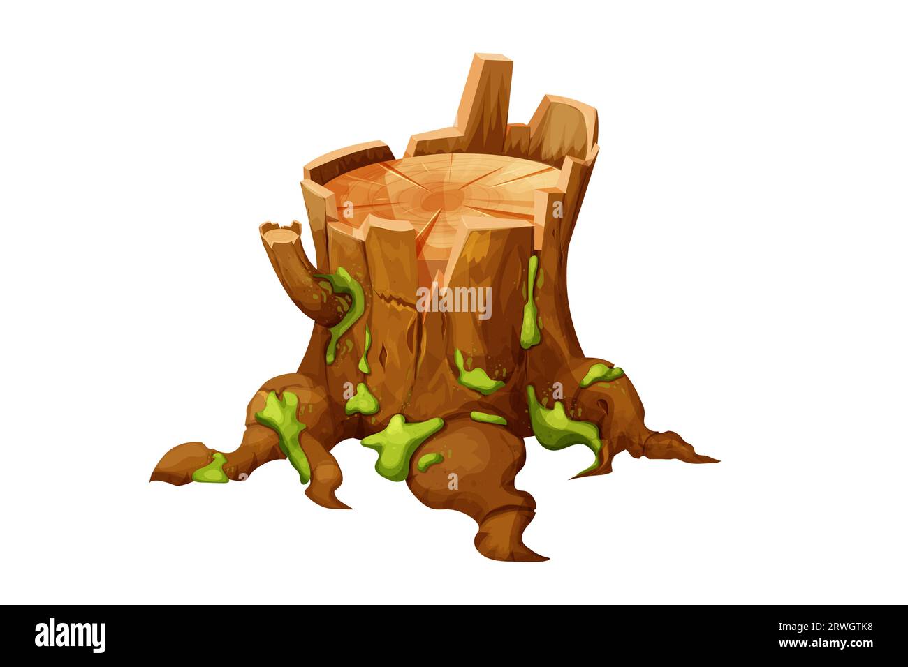 Wooden old stump forest tree trunk with roots, moss cut section in ...