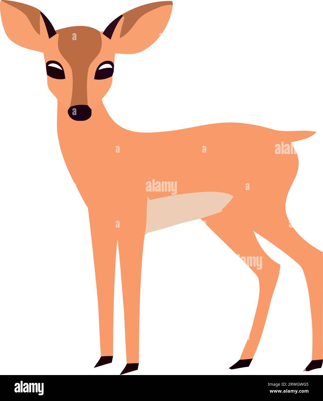 Young wild deer standing Stock Vector Images - Alamy