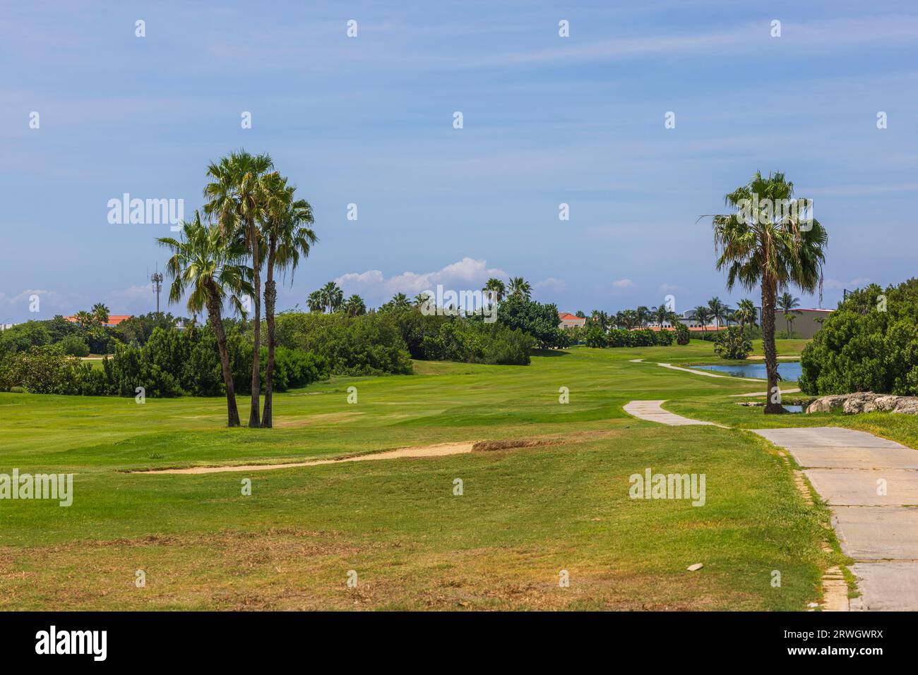 Beautiful landscape view of golf course with green grass, palm trees ...