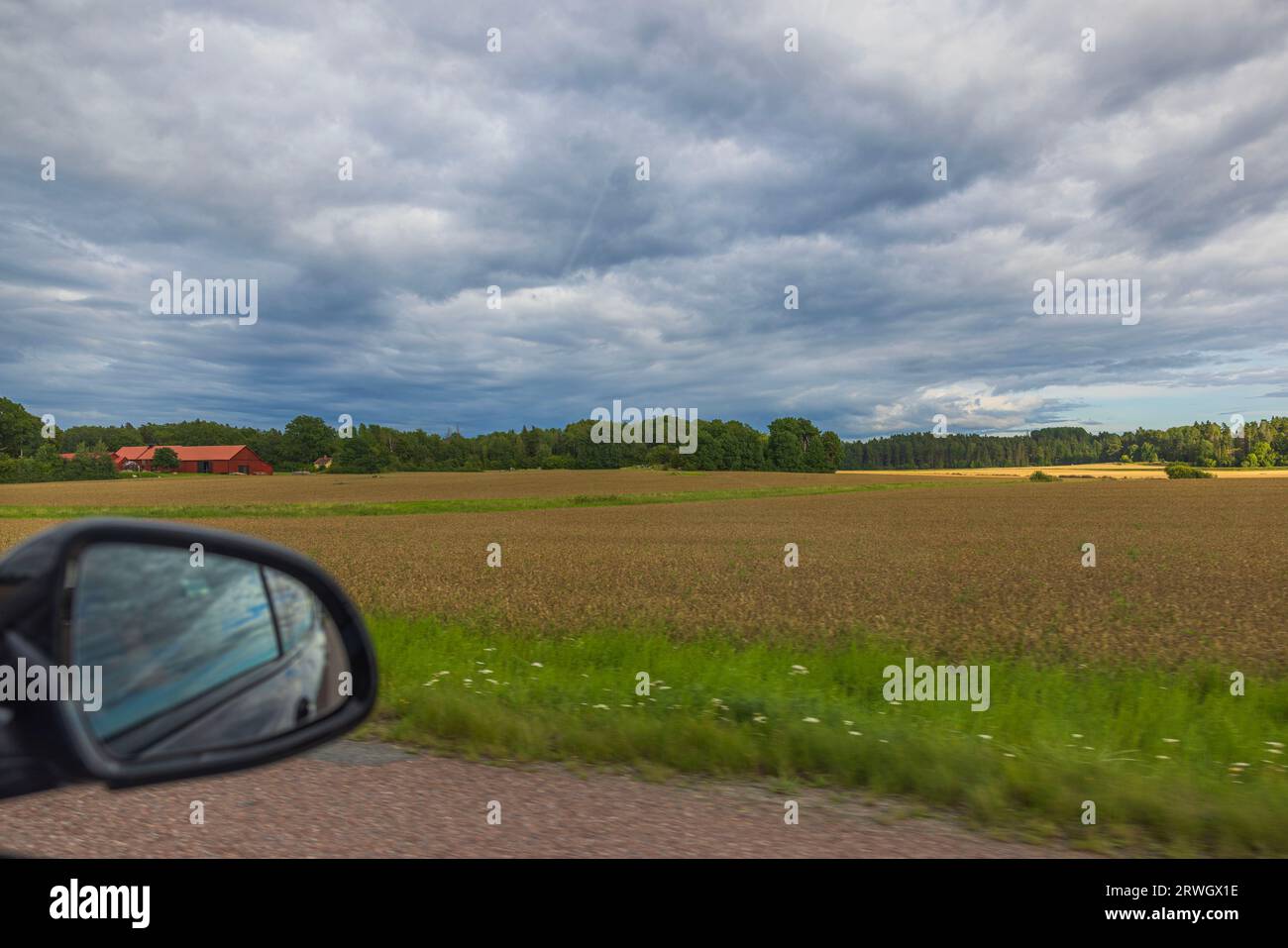 Wheat field under clouded sky hi-res stock photography and images - Alamy