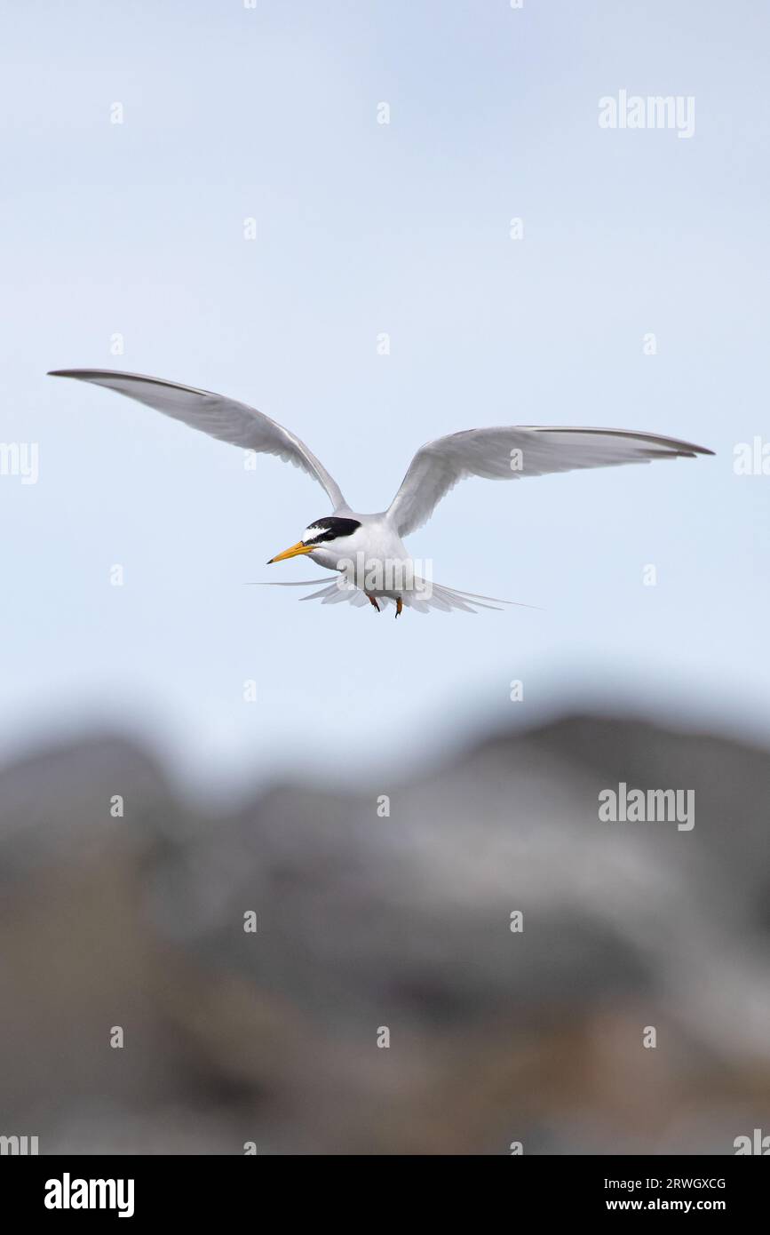 Eccles on sea hi-res stock photography and images - Alamy