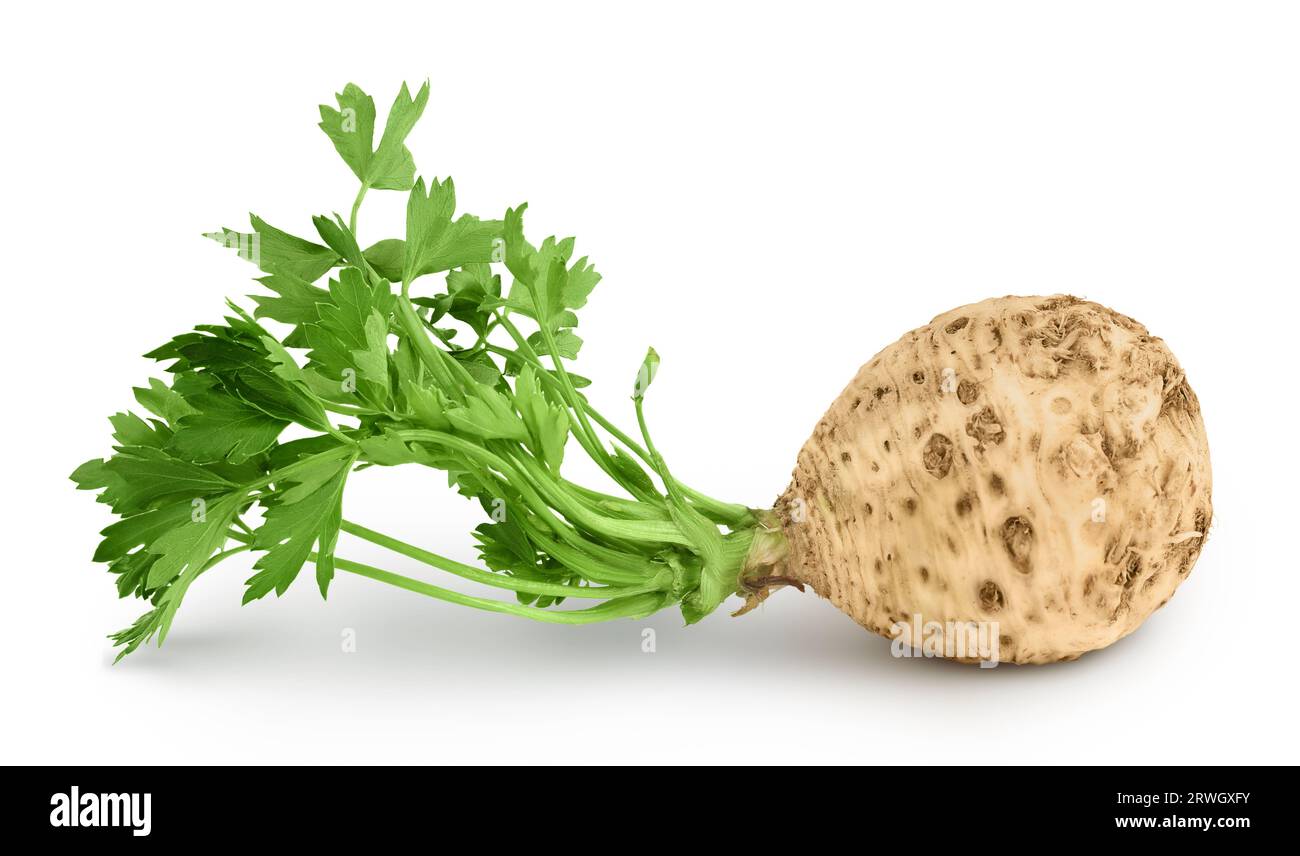 Fresh celery root with leaf isolated on white background Stock Photo ...
