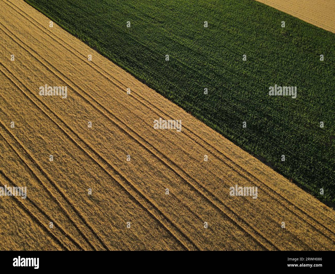 Aerial view of crop hi-res stock photography and images - Alamy