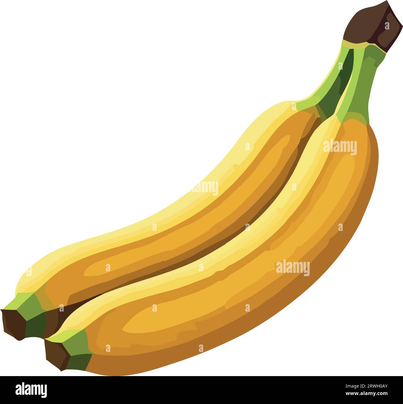 Fresh organic bananas vector design Stock Vector Image & Art - Alamy