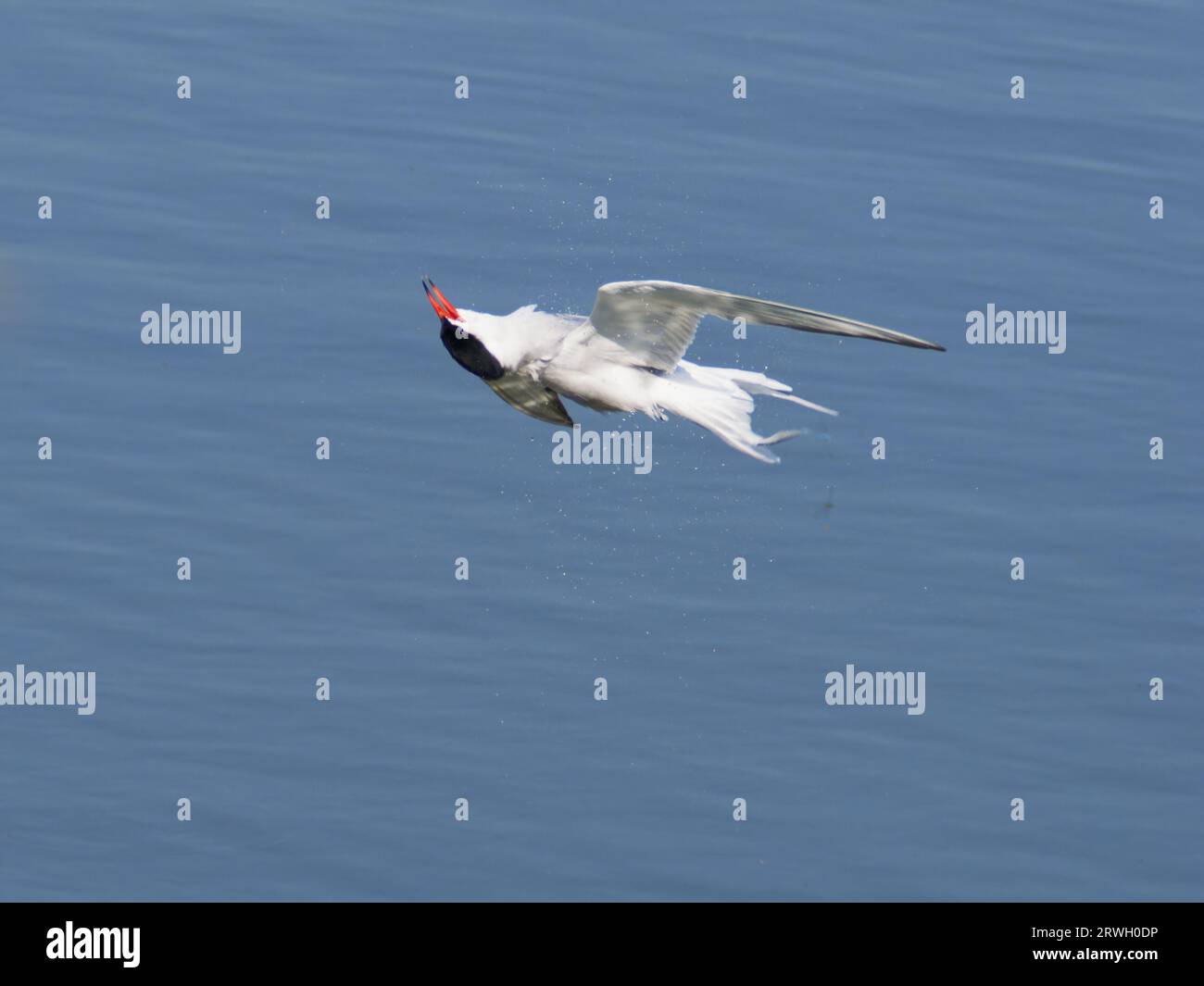 Down action hi-res stock photography and images - Alamy