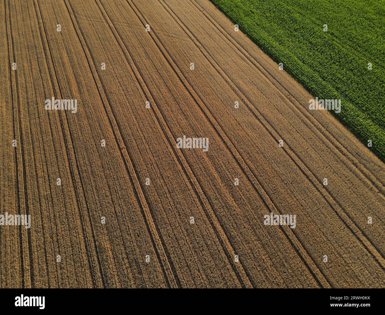Aerial view of crop and corn field in the countryside in summer Stock ...