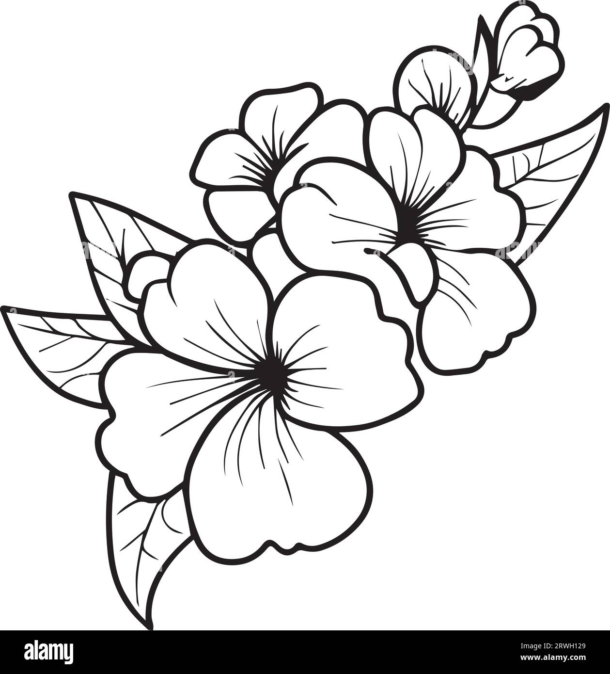 Simple flower coloring pages Cut Out Stock Images & Pictures - Alamy