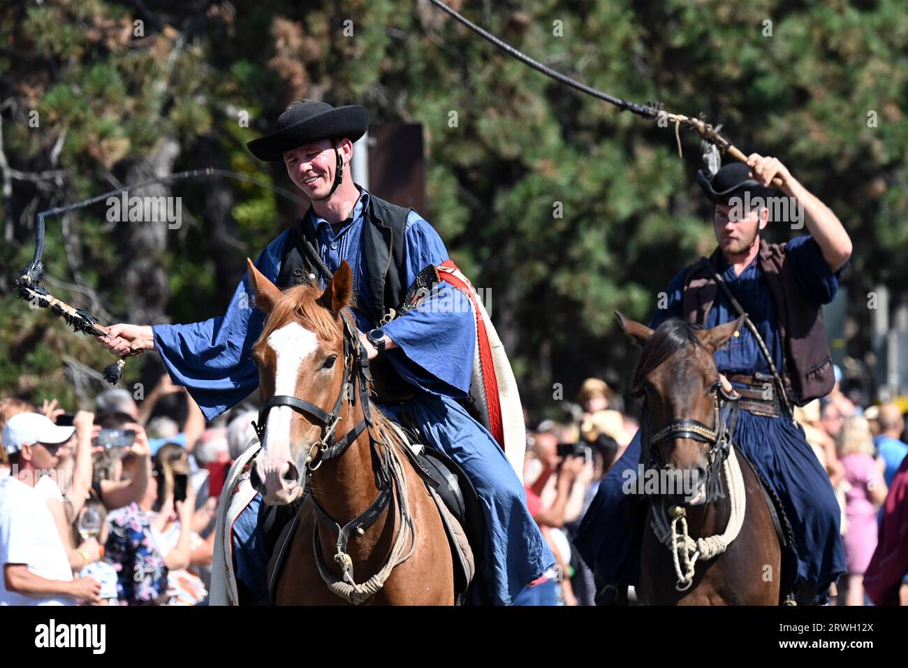Badacsony, lake Balaton, Hungary - September 10, 2023 - Wine Harvest ...