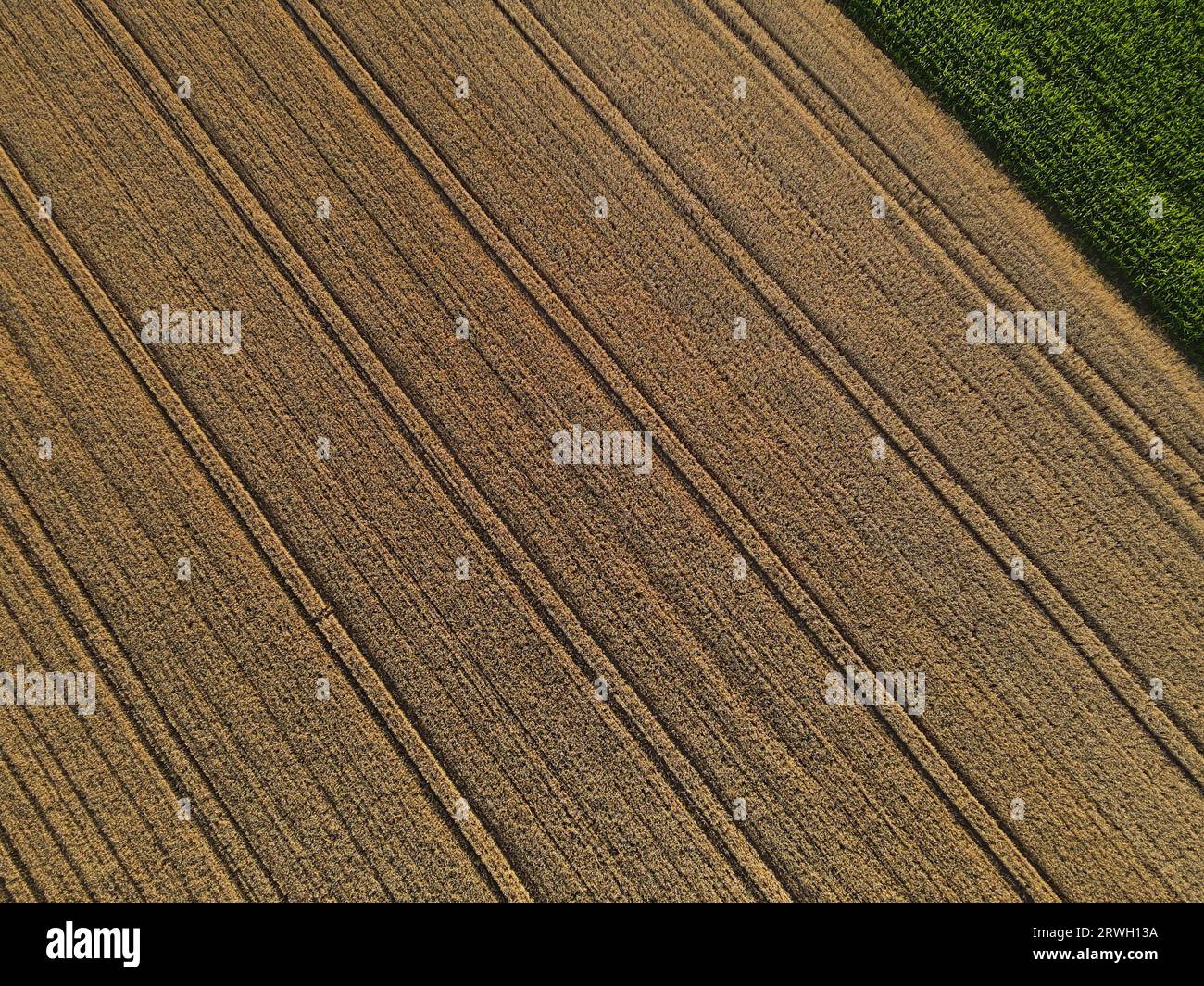 Aerial view of crop hi-res stock photography and images - Alamy