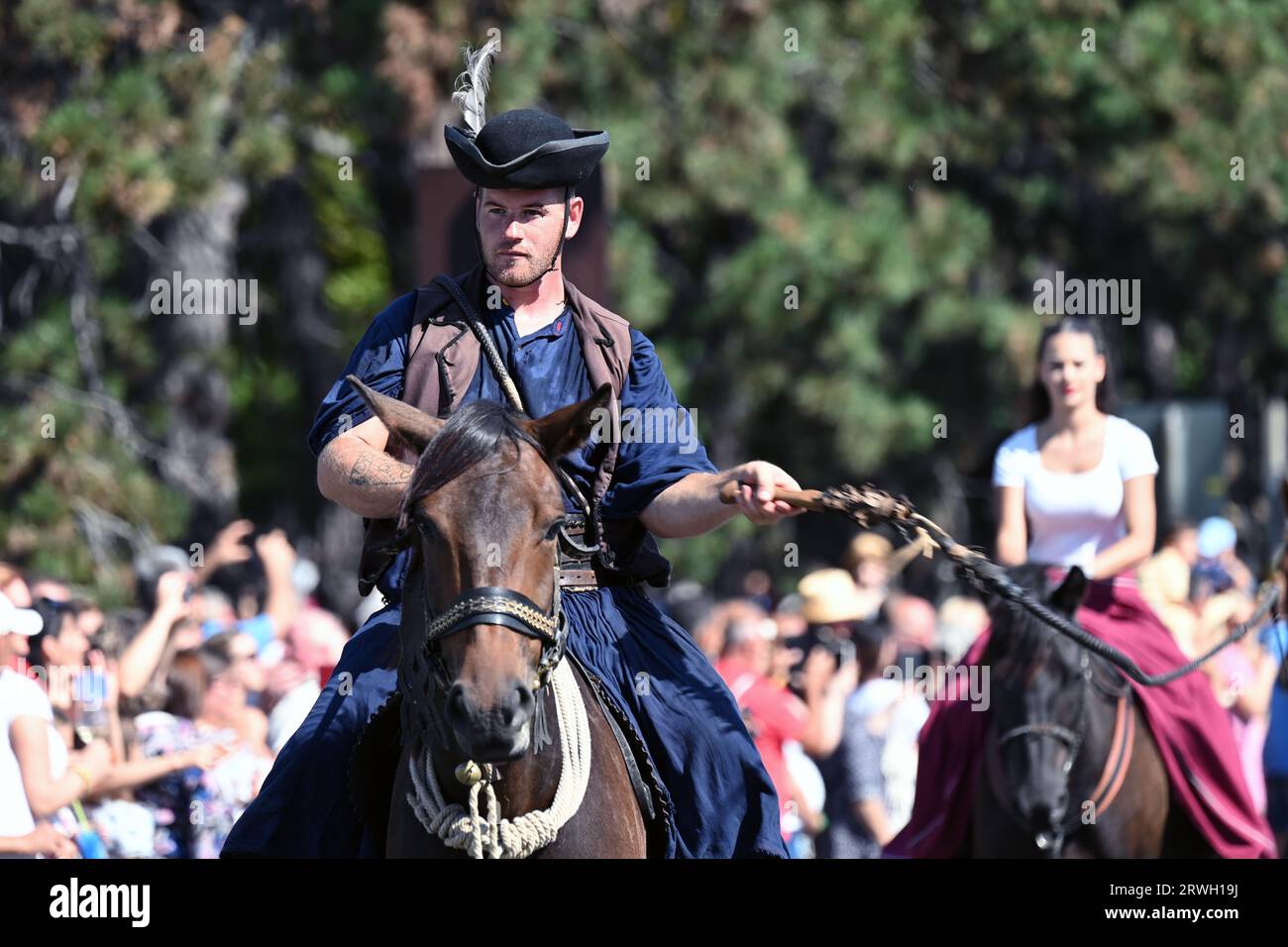 Badacsony, lake Balaton, Hungary - September 10, 2023 - Wine Harvest ...