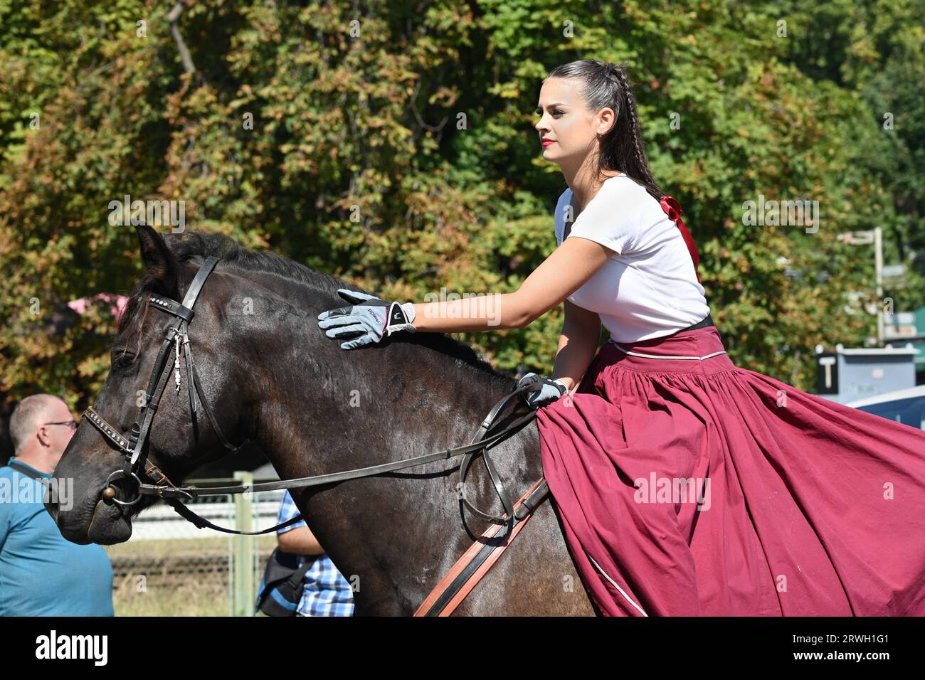 Badacsony, lake Balaton, Hungary - September 10, 2023 - Wine harvest ...