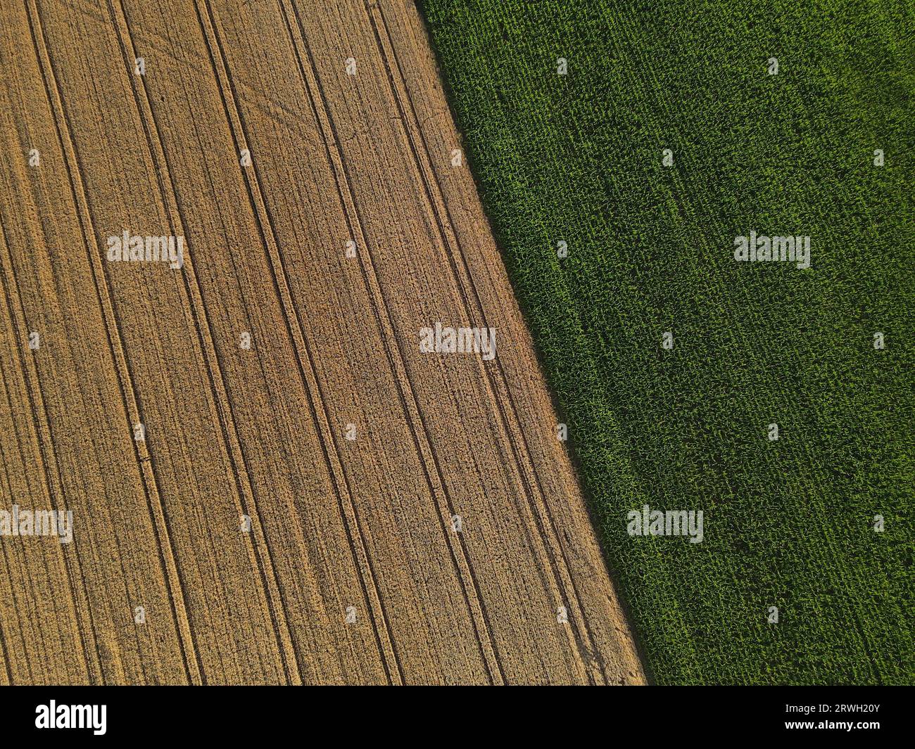 Aerial view of crop hi-res stock photography and images - Alamy