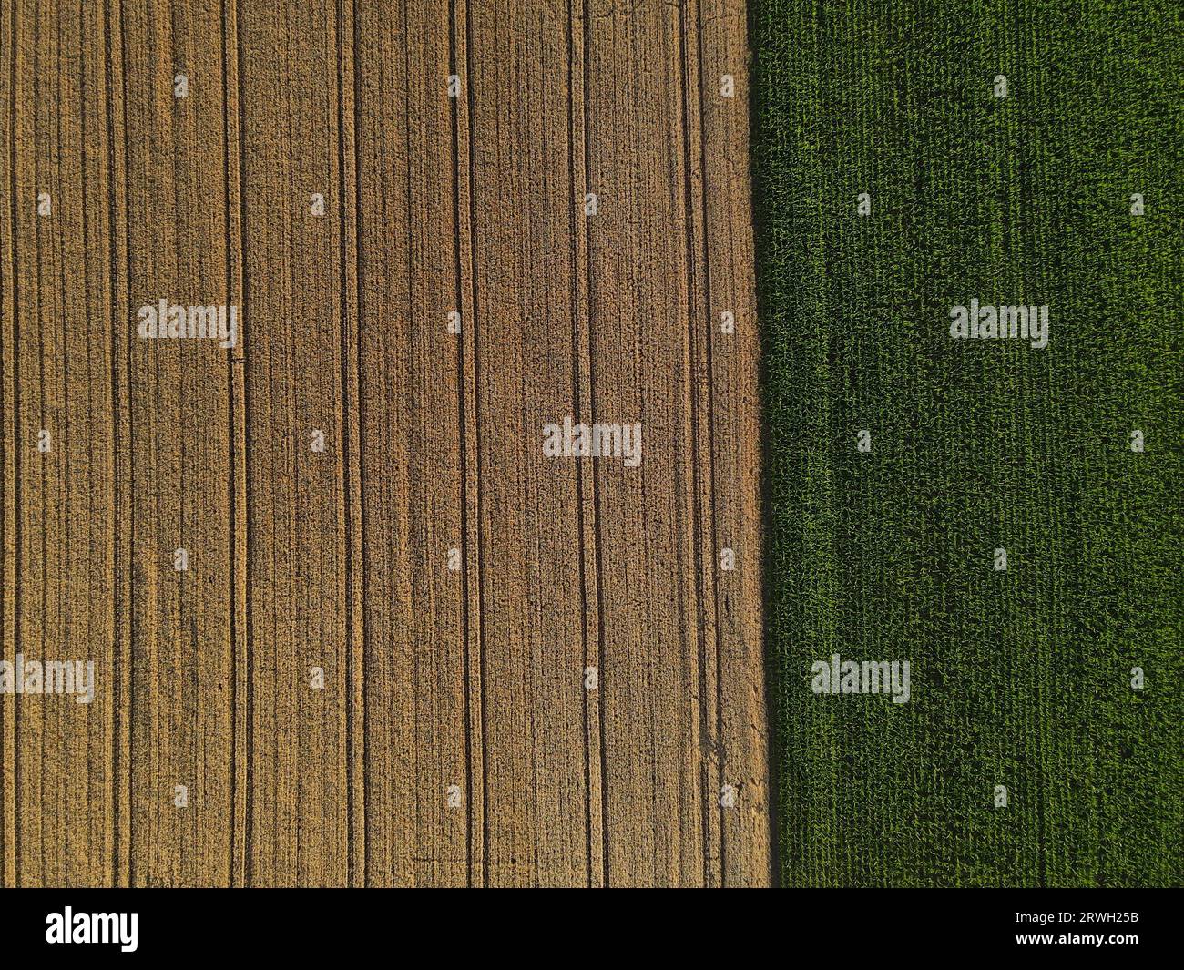 Aerial view of crop and corn field in the countryside in summer Stock ...