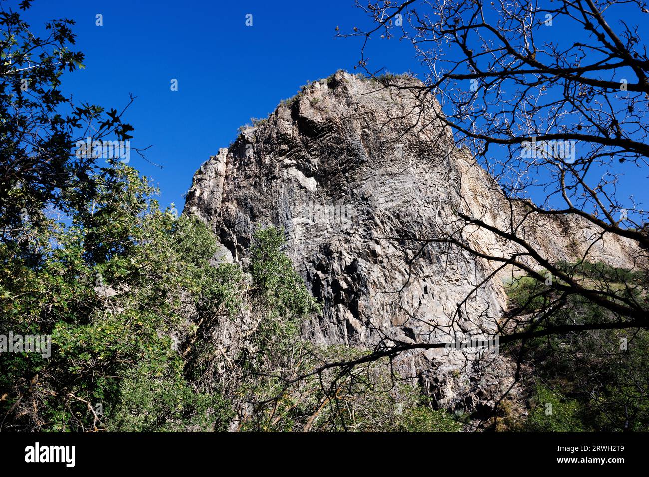 granite mountain in utah behind dark trees Stock Photo - Alamy