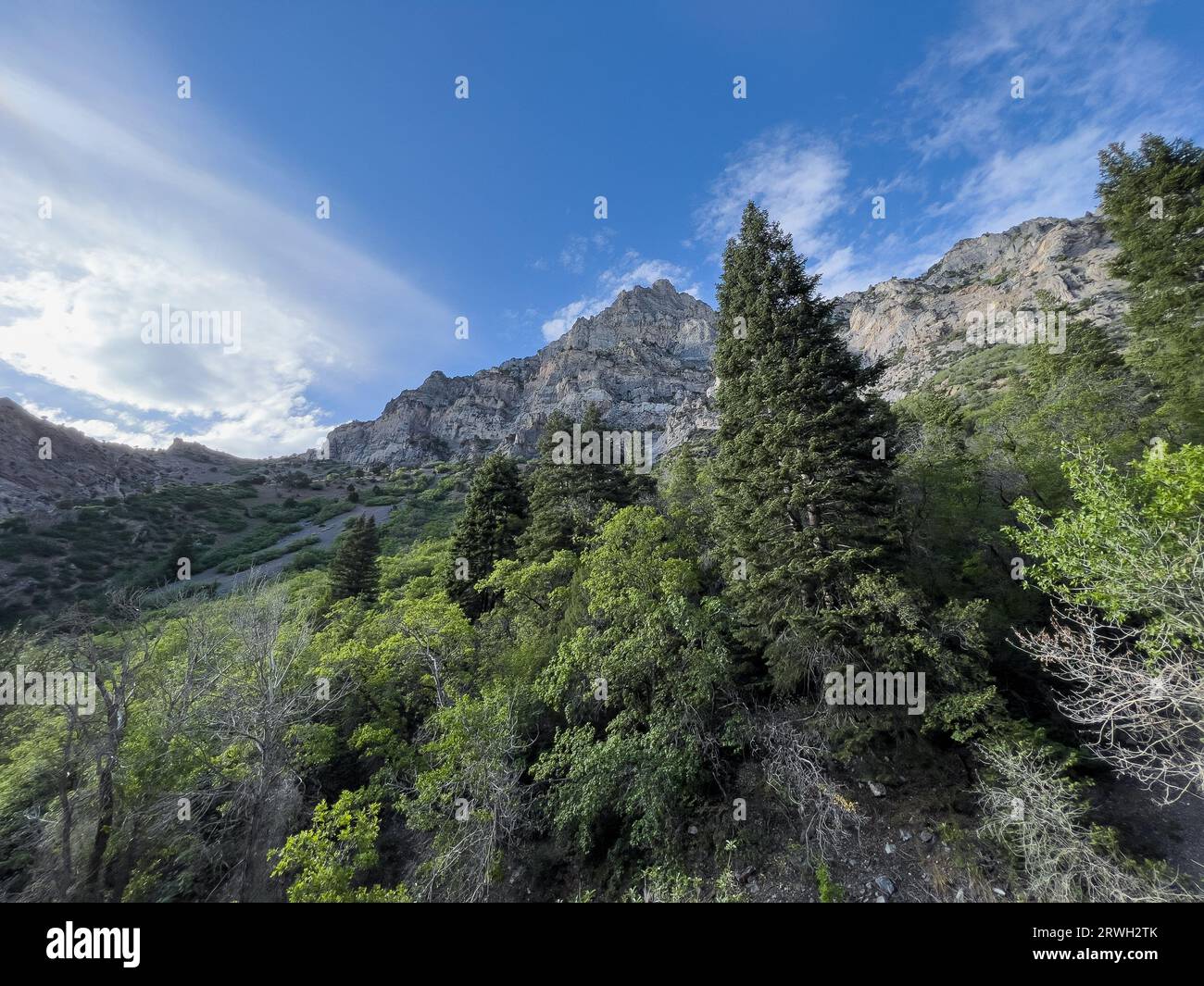 utah mountains under a blue sky with trees Stock Photo - Alamy