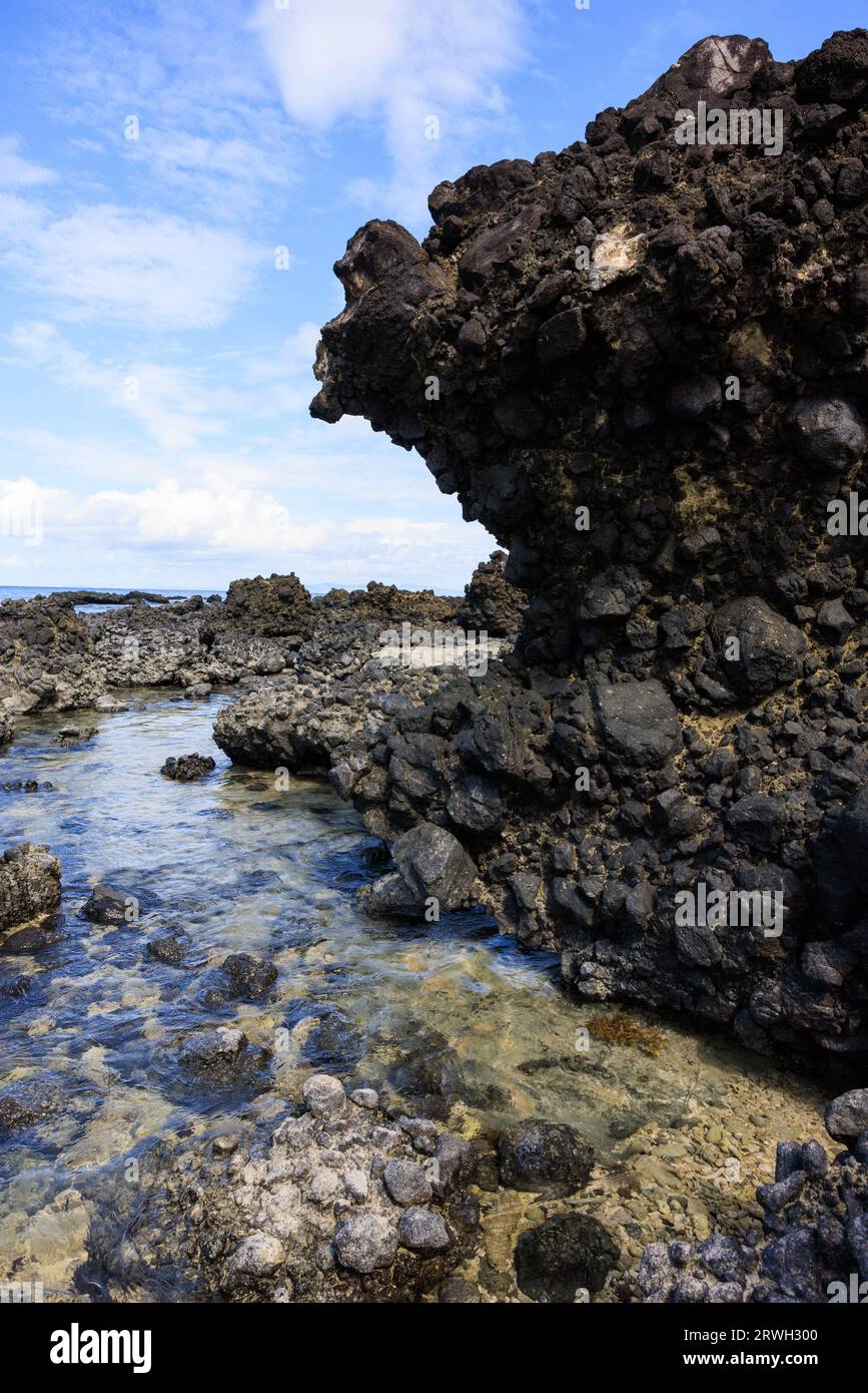 watery beach path in fiji Stock Photo - Alamy