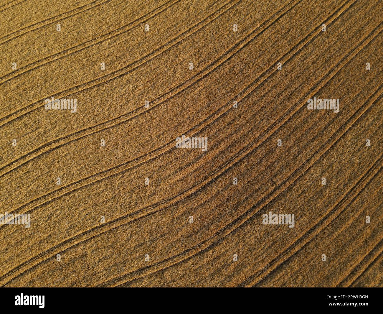 Crop texture from top hi-res stock photography and images - Alamy
