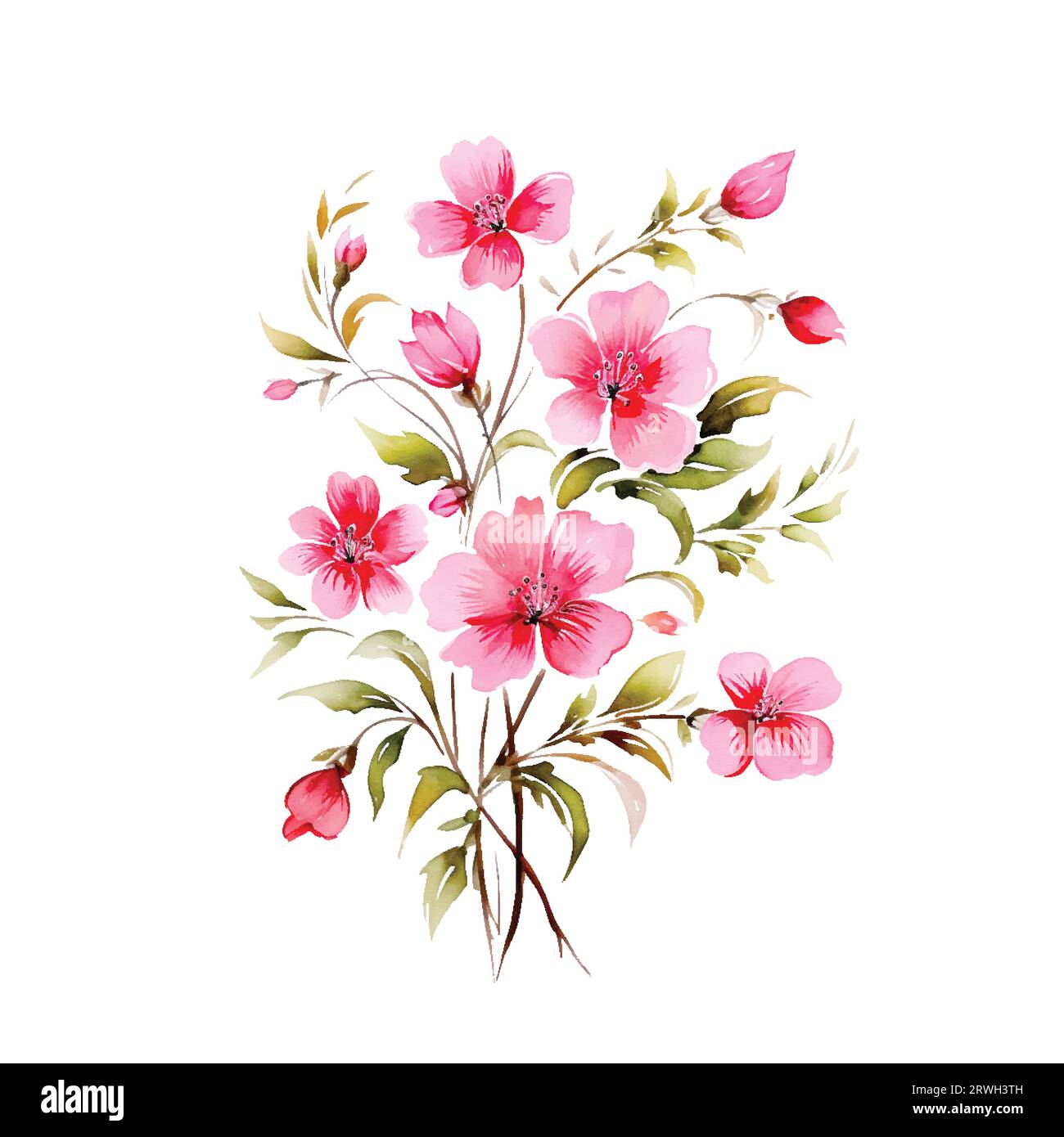 Watercolor pink wild flowers. Isolated and editable vector clipart ...