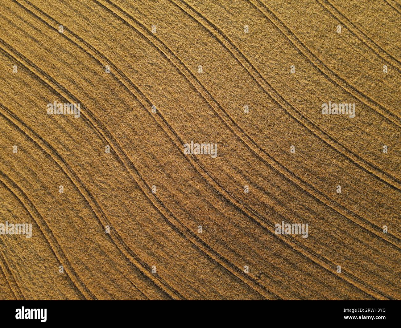 Crop texture from top hi-res stock photography and images - Alamy