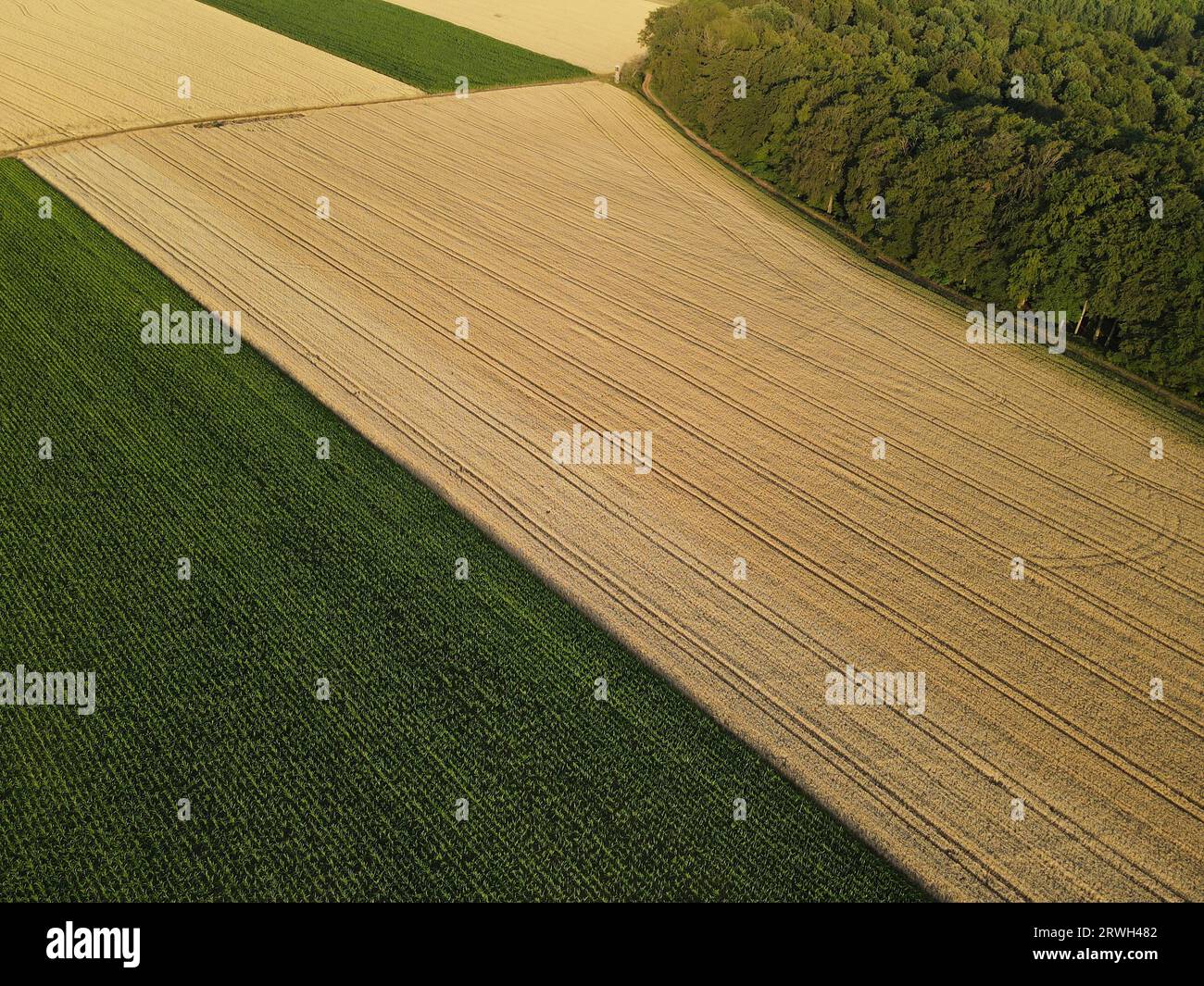 Cornfields from above hi-res stock photography and images - Alamy