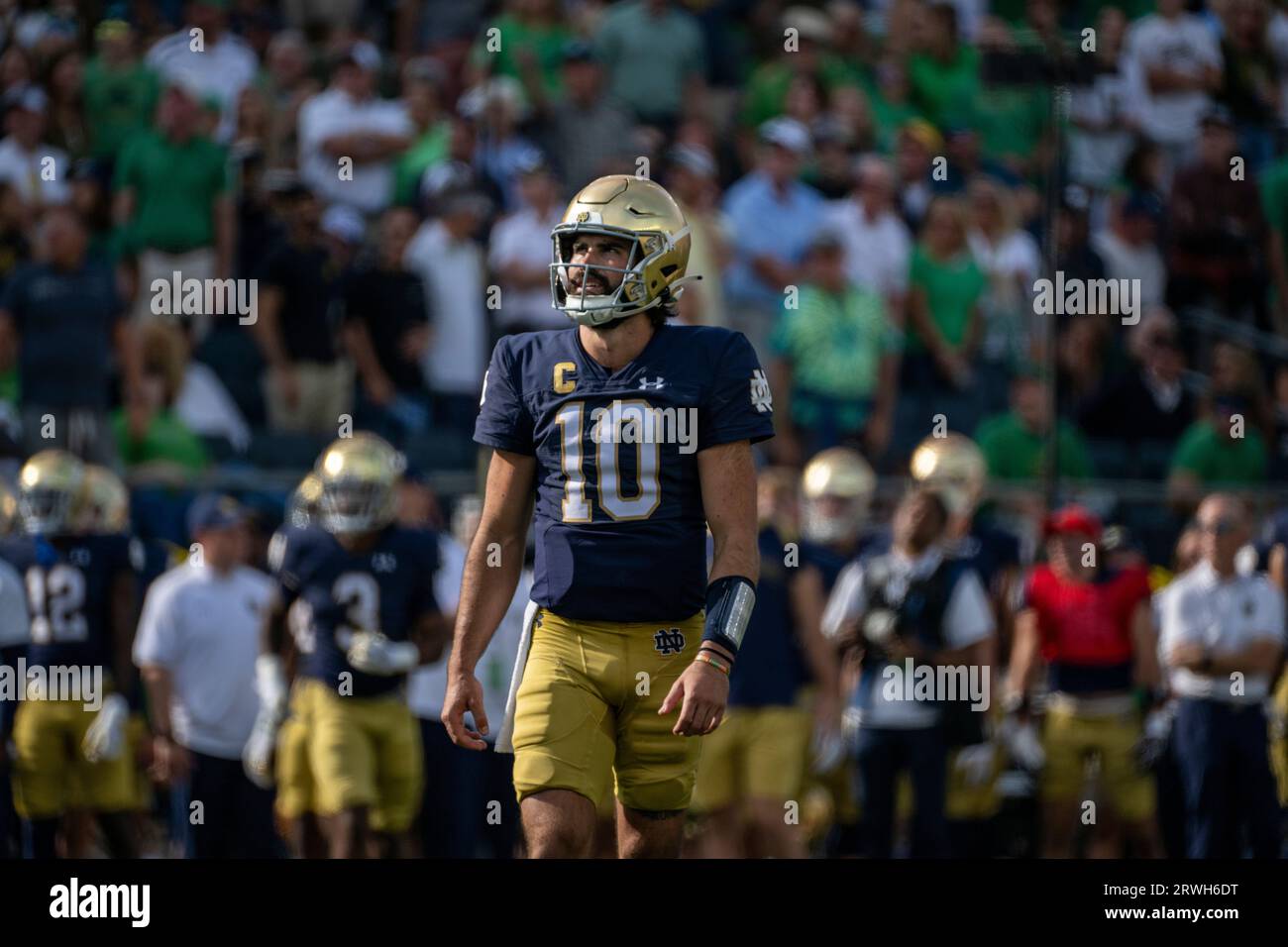Notre Dame quarterback Sam Hartman (10) during an NCAA football game on ...