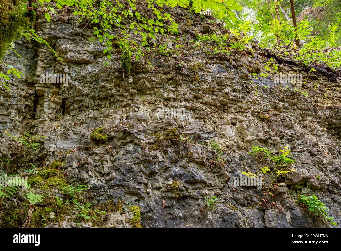 Geological patterns in a rock formation in the Gauchach Gorge in the ...